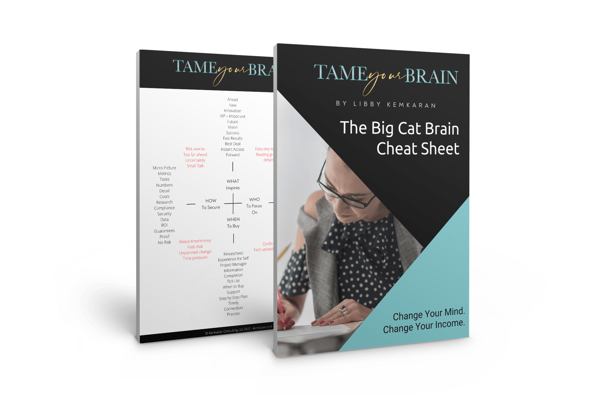 Big Cat Brain Cheat Sheet